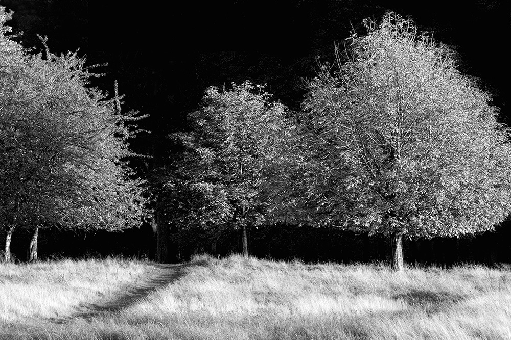 The Tao of Photography - James Lomax