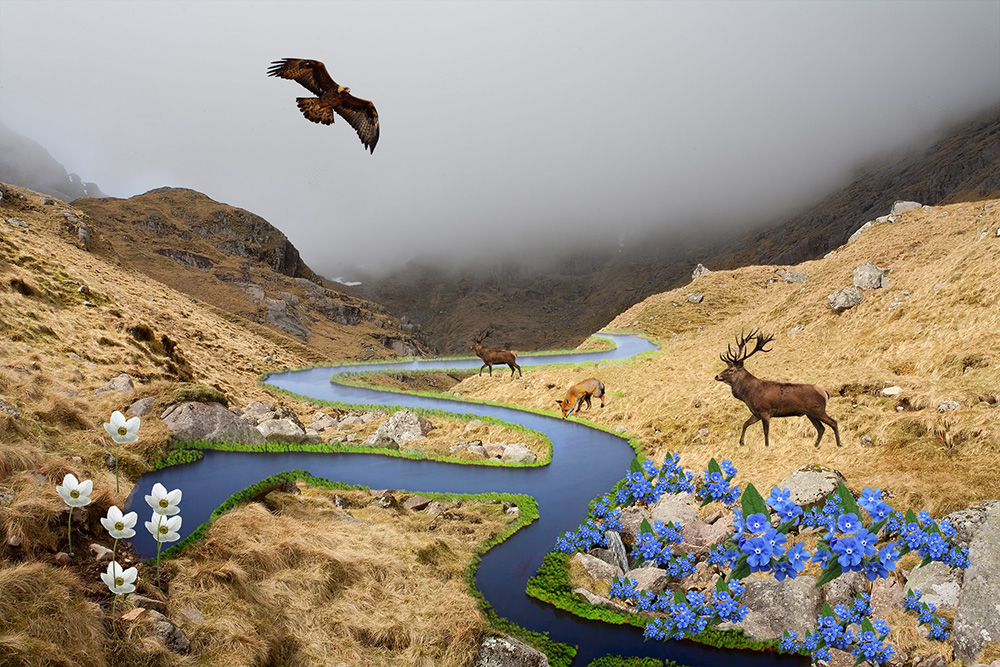 Chatak - James Lomax